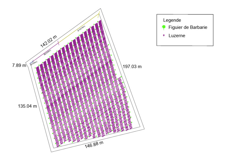 Luz Fig Model | PDF