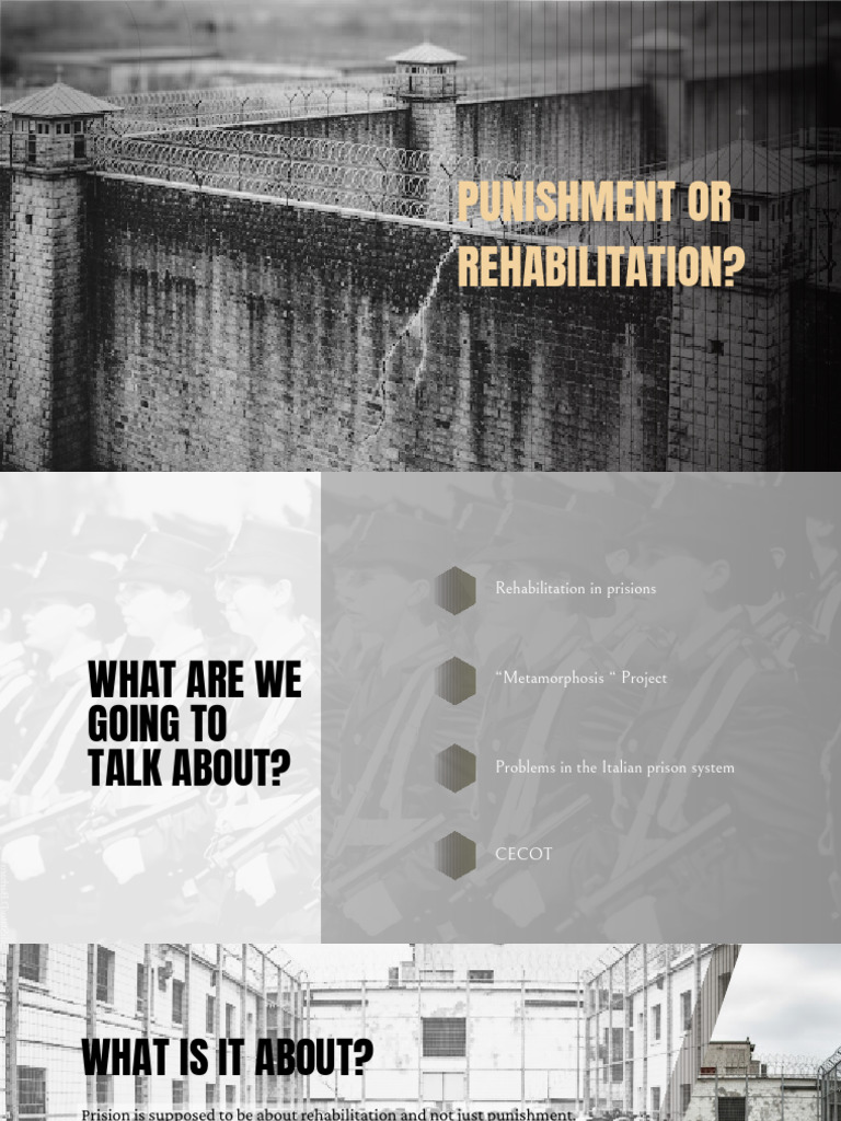 Punishment or Rehabilitation | PDF | Prison | Rehabilitation (Penology)