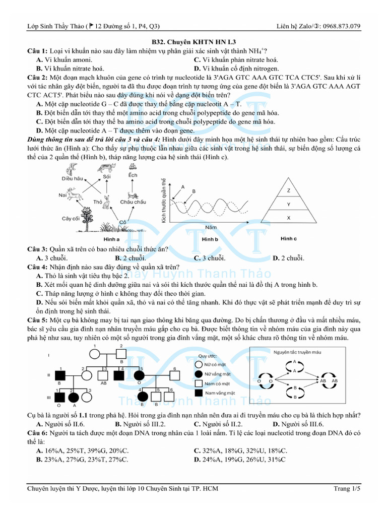 B32 (Chuyên KHTN HN L3) | PDF