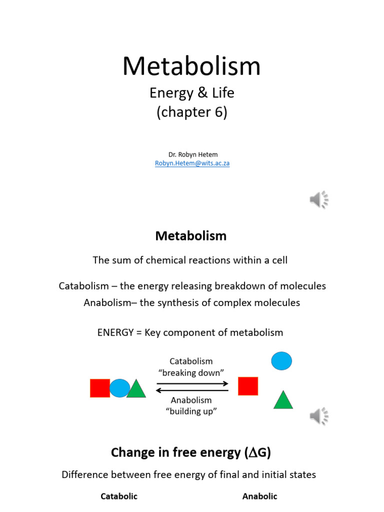 Metabolism and Enzymes-1 | PDF | Enzyme | Active Site