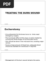 Flamazine® Cream for Burn Care | PDF | Wound | Dermatitis