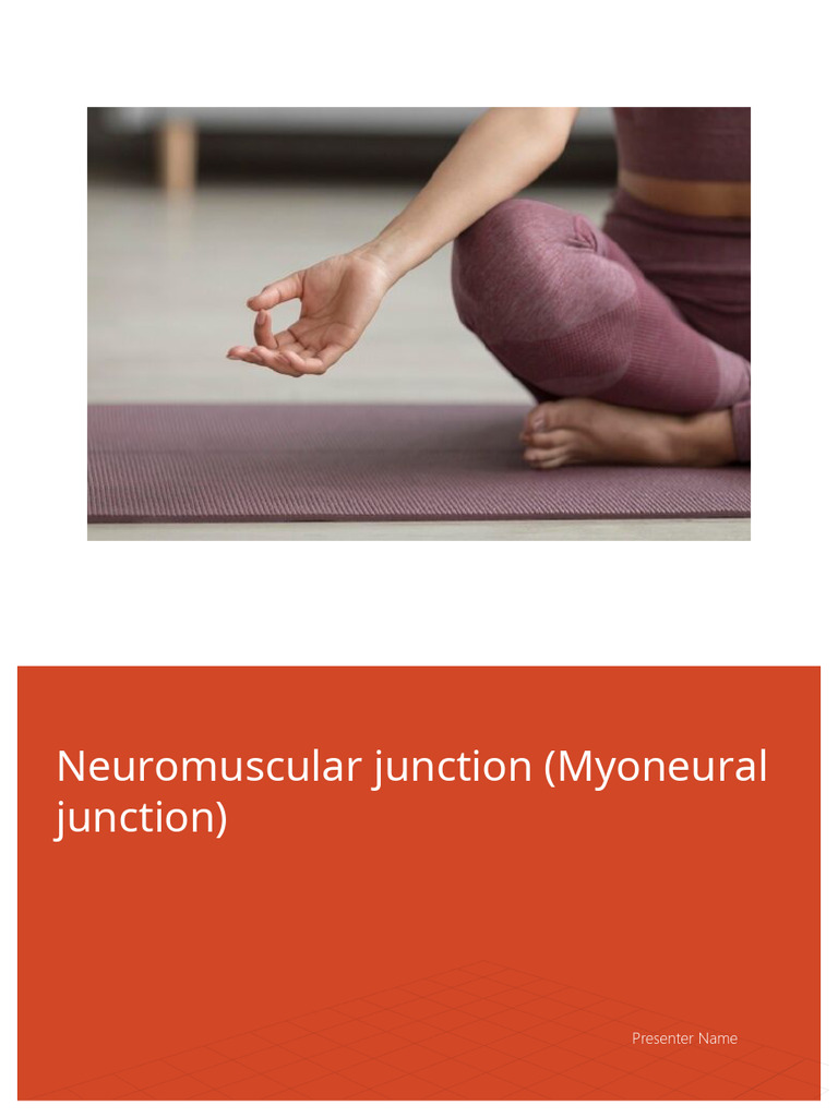 Neuromuscular Junction Myoneural Junction Pdf