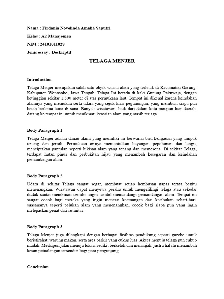 Firdania Novelinda (24101011028) -Essay Deskriptif | PDF