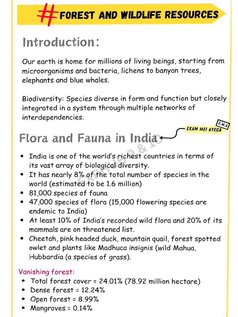 Geography Forest and Wildlife | PDF