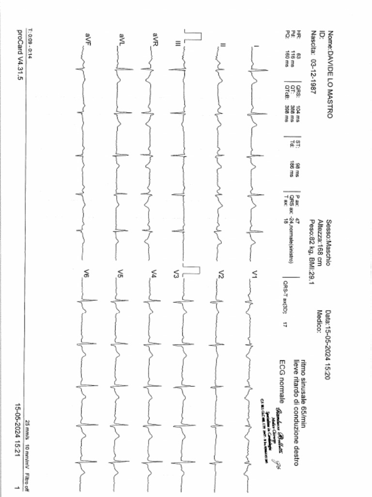 Lo Mastro Davide 2024 | PDF