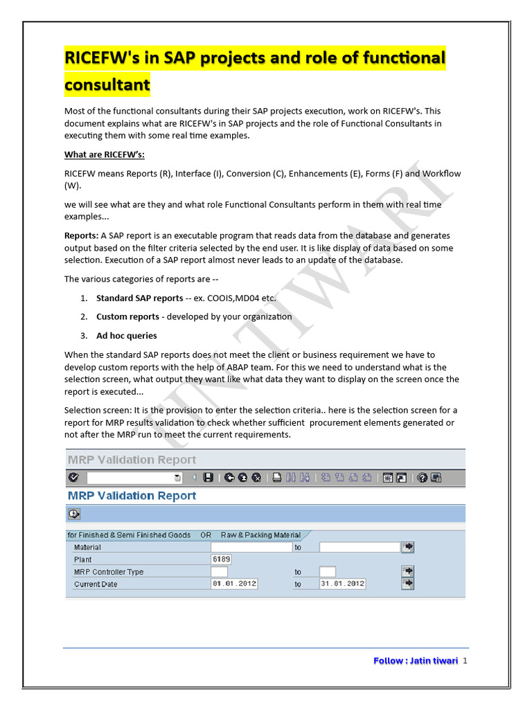 RICEFW's in SAP Projects and Role of Functional Consultant | PDF ...