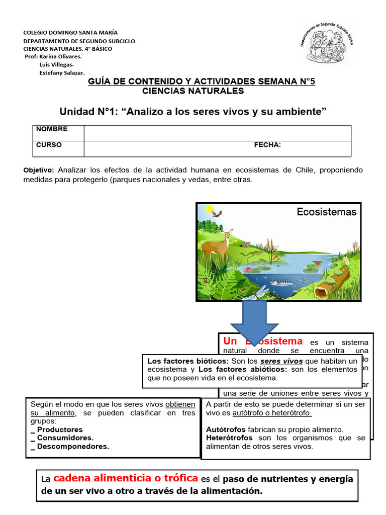 Guia N° 5 repaso ecosistema | PDF | Red alimentaria | Ecosistema