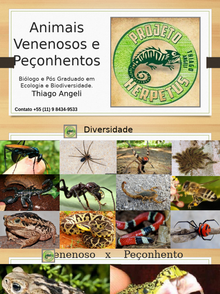 Venenosos e Peçonhentos06-07-24 | PDF | Serpente | Aranha