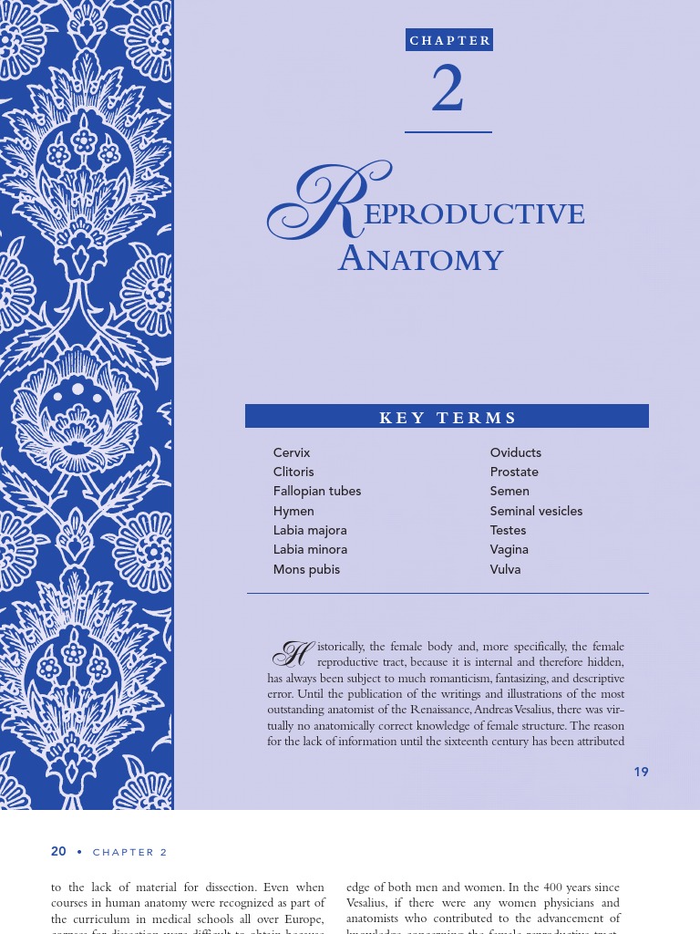 Reproductive Anatomy | Pelvis | Clitoris