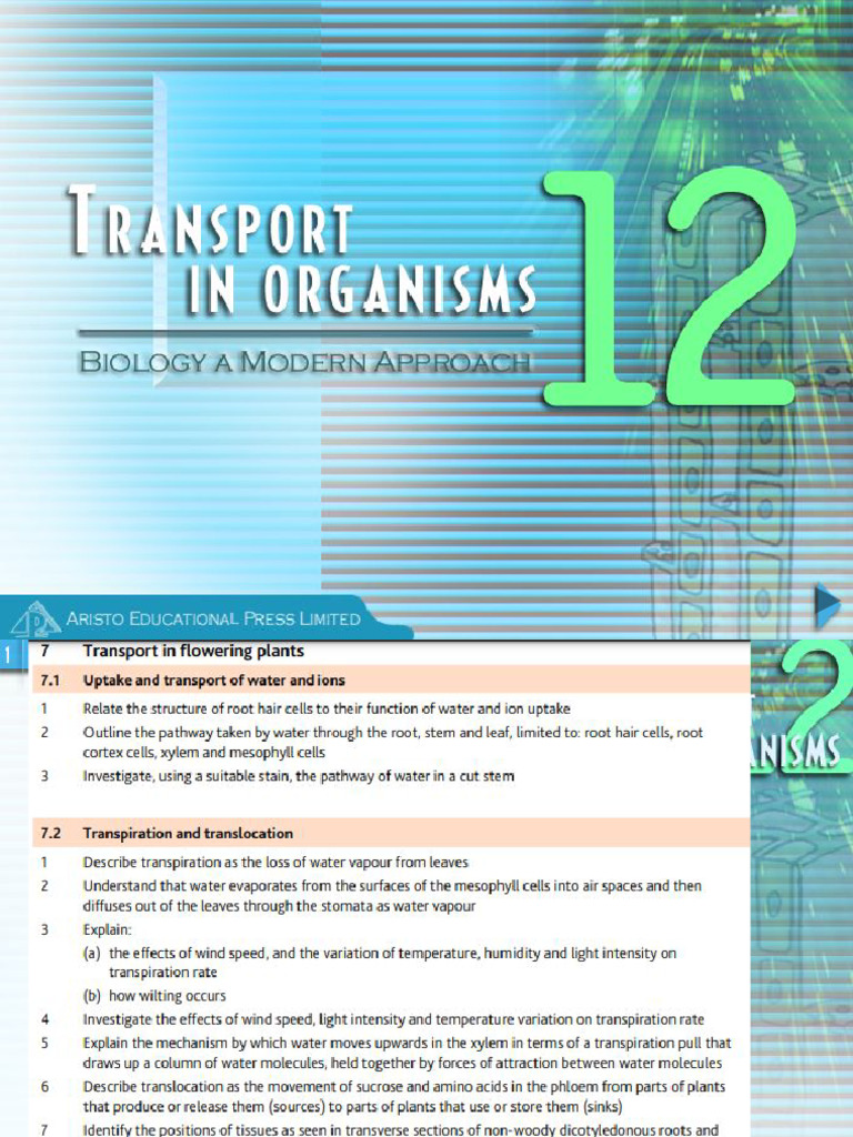 Transport - in - Flowering Plants - Ar | PDF | Plant Stem | Tissue ...