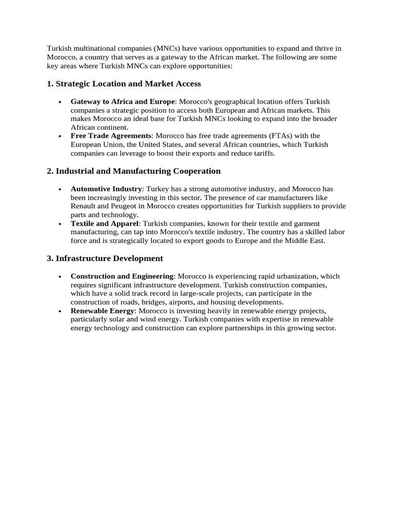Turkish Multinational Companies | PDF