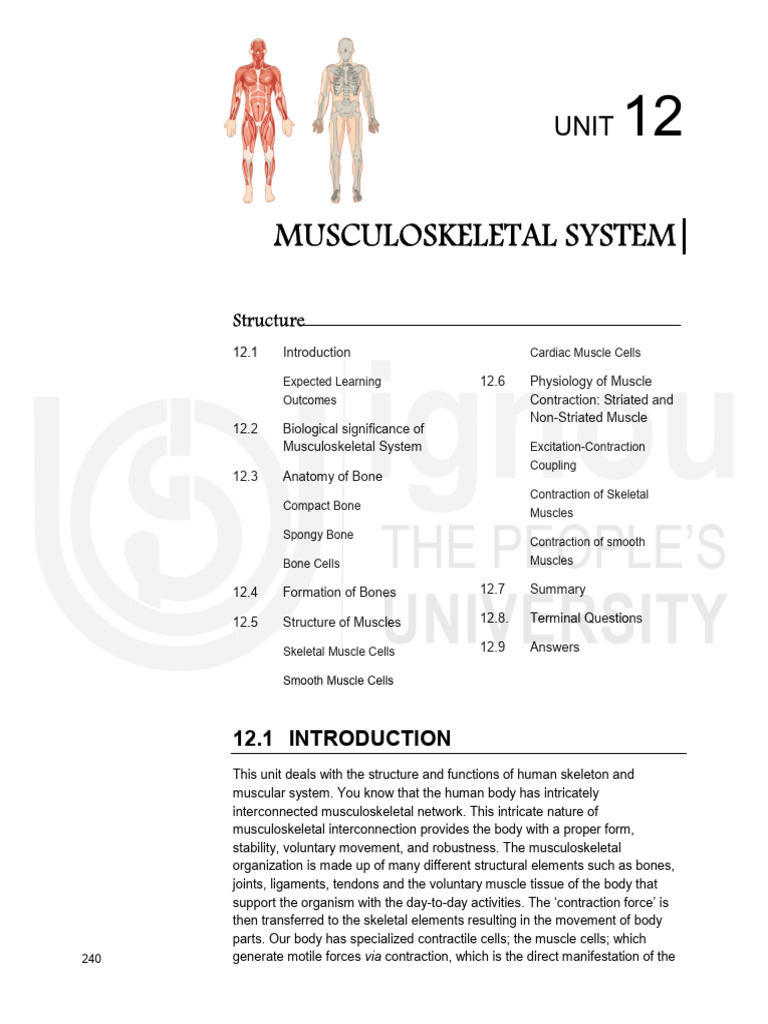 Unit 12 | PDF | Bone | Muscle Contraction