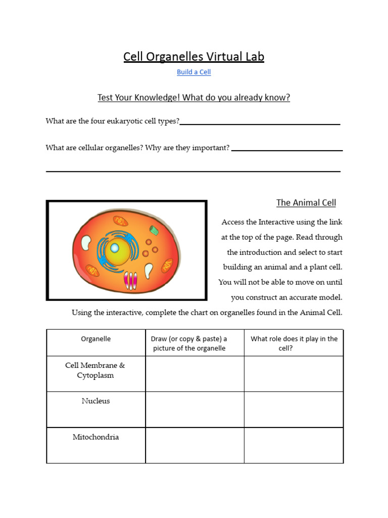 Gabriel Grant - Cell Organelles Virtual Lab | PDF | Cell (Biology) | Organelle