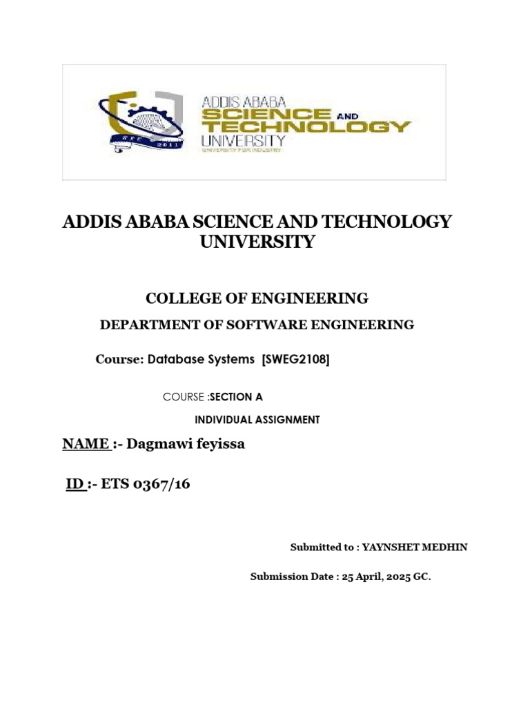 Database Systems Assignment - Dagmawi Feyissa | PDF