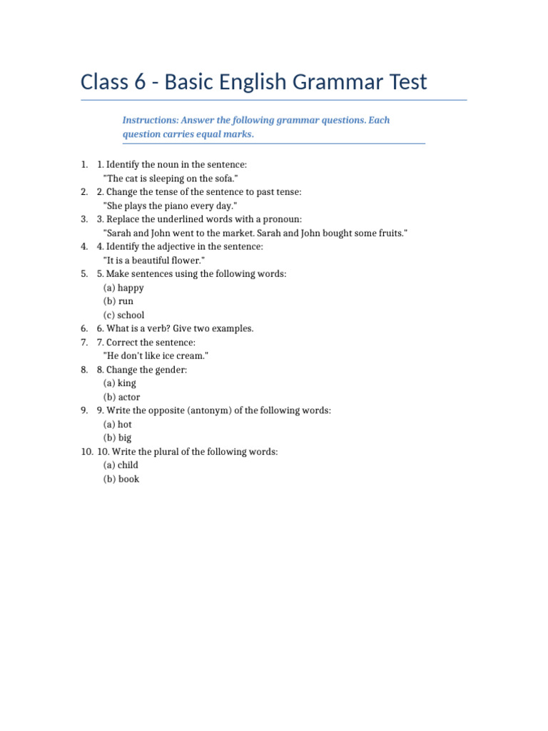 Class 6 Basic English Grammar Test | PDF