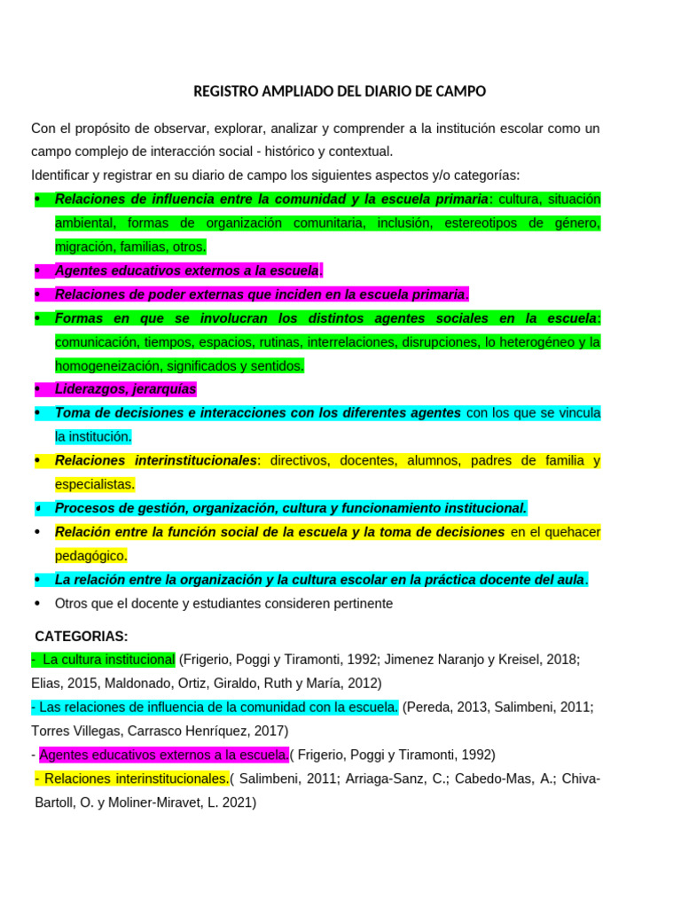 Registro Ampliado Diario de Campo 2025 | PDF | Escuelas | Aprendizaje