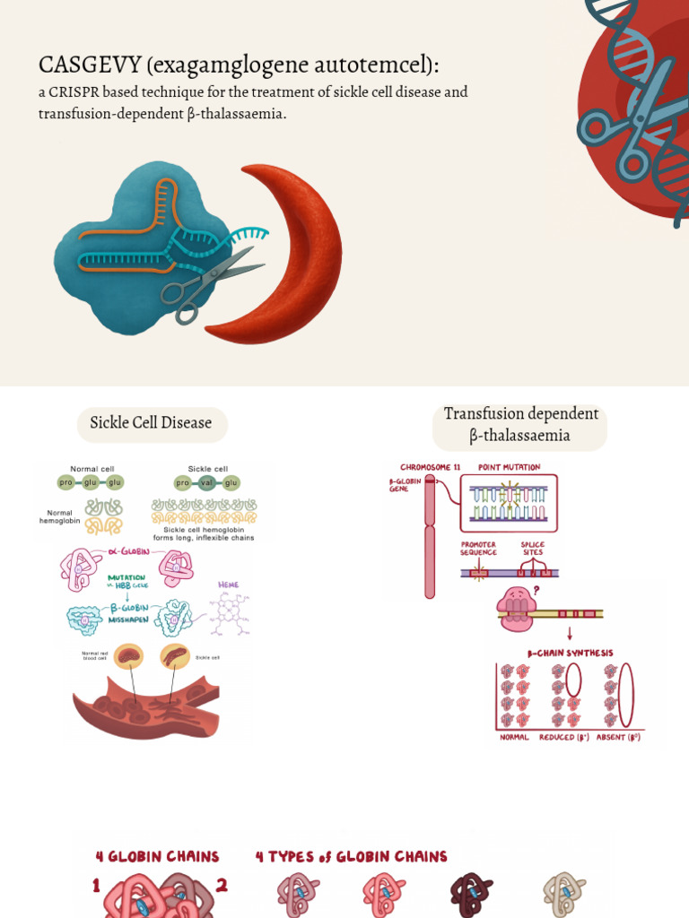CASGEVY (Exagamglogene Autotemcel) A CRISPR Based Technique For The ...