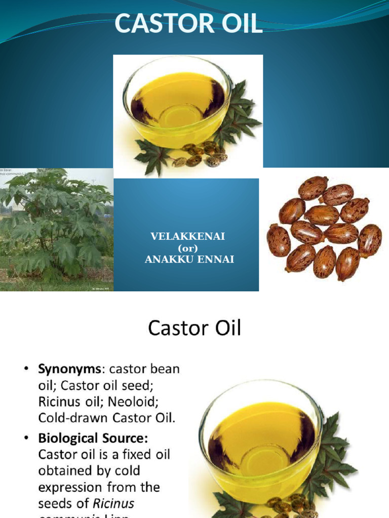 Castor Oil | PDF