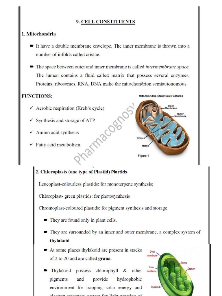 Cell Constituents | PDF