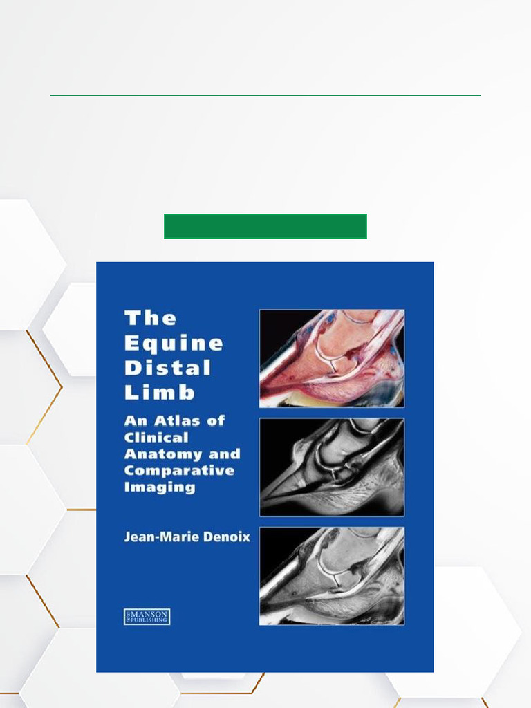 The Equine Distal Limb An Atlas of Clinical Anatomy and Comparative ...