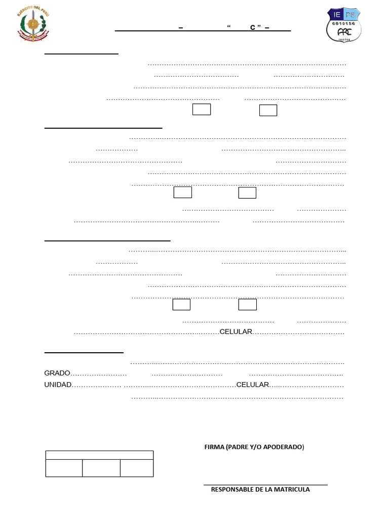 Ficha de Datos de Matricula 2025 | PDF