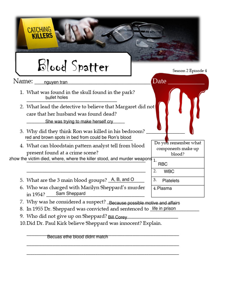 Blood Spatter: Name | PDF | Blood | Body Fluids