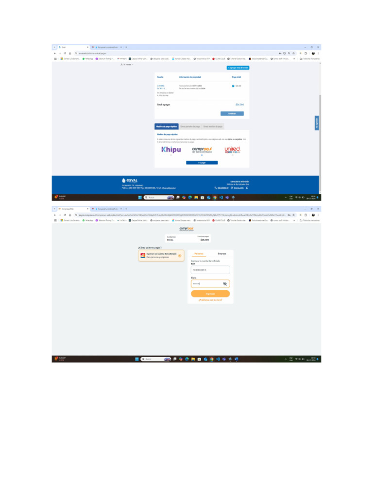 Pago Esval | PDF