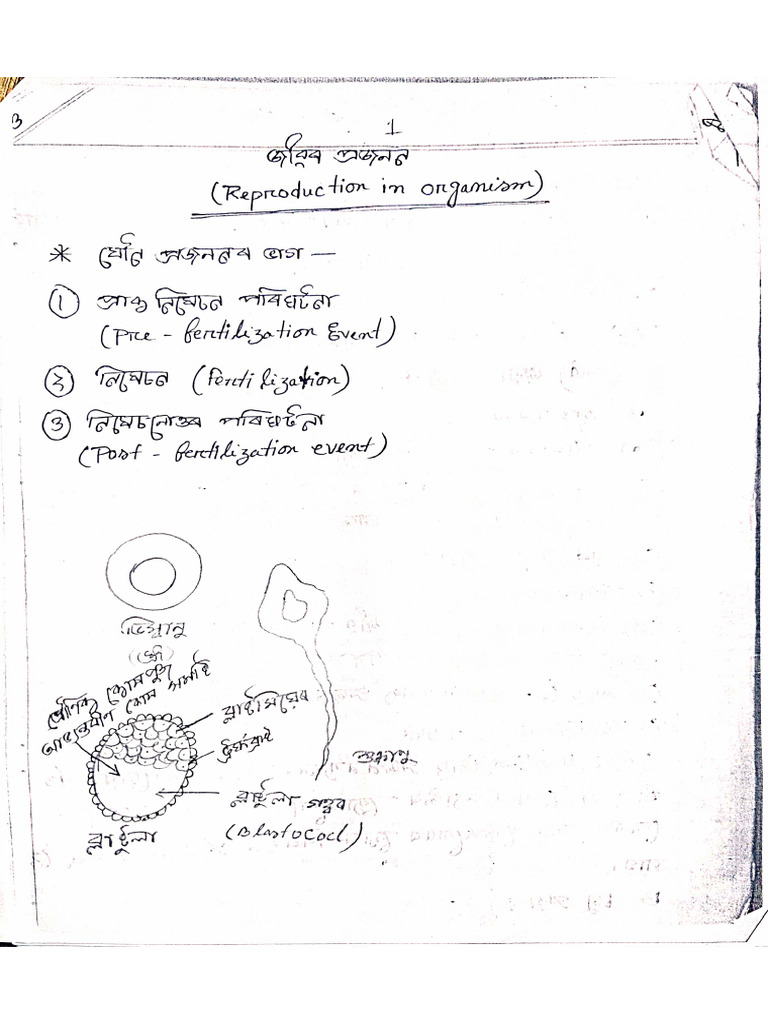 Class 12 BIOLOGY CHAPTER 1 | PDF