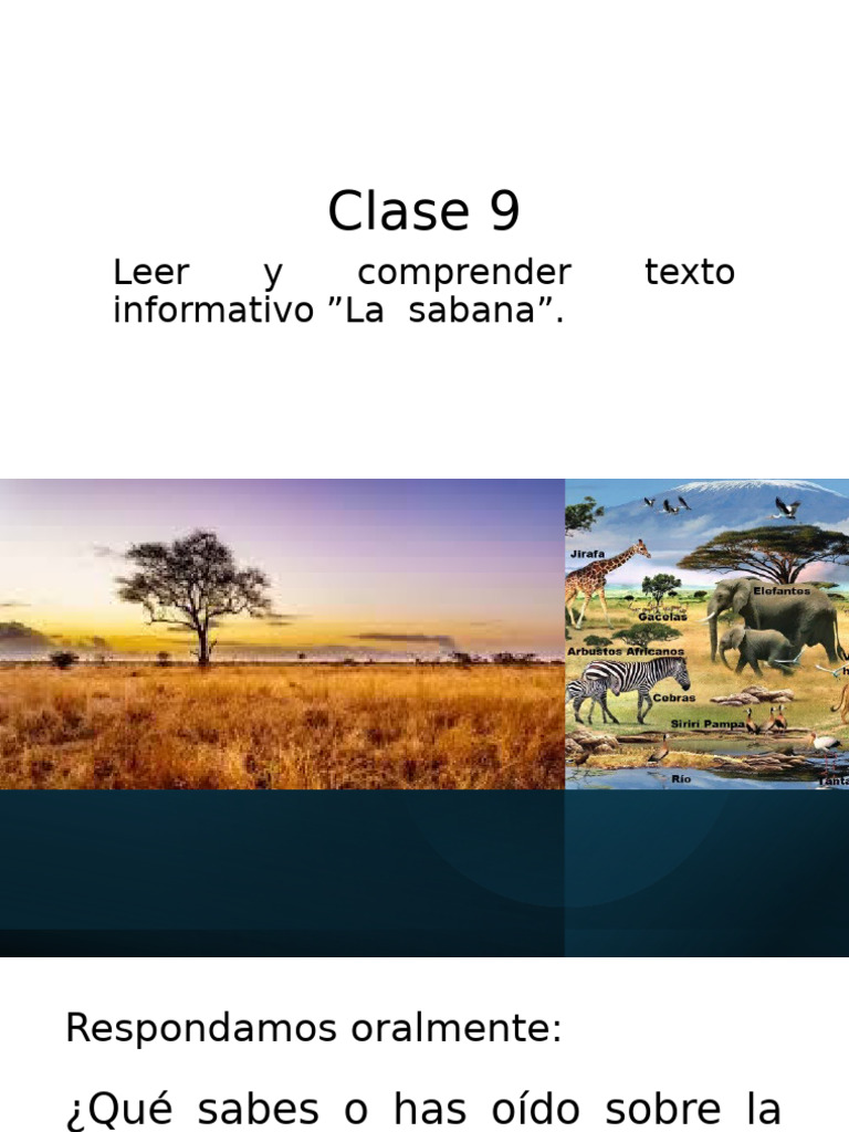 Explorando la Sabana: Ecosistemas y Fauna | PDF