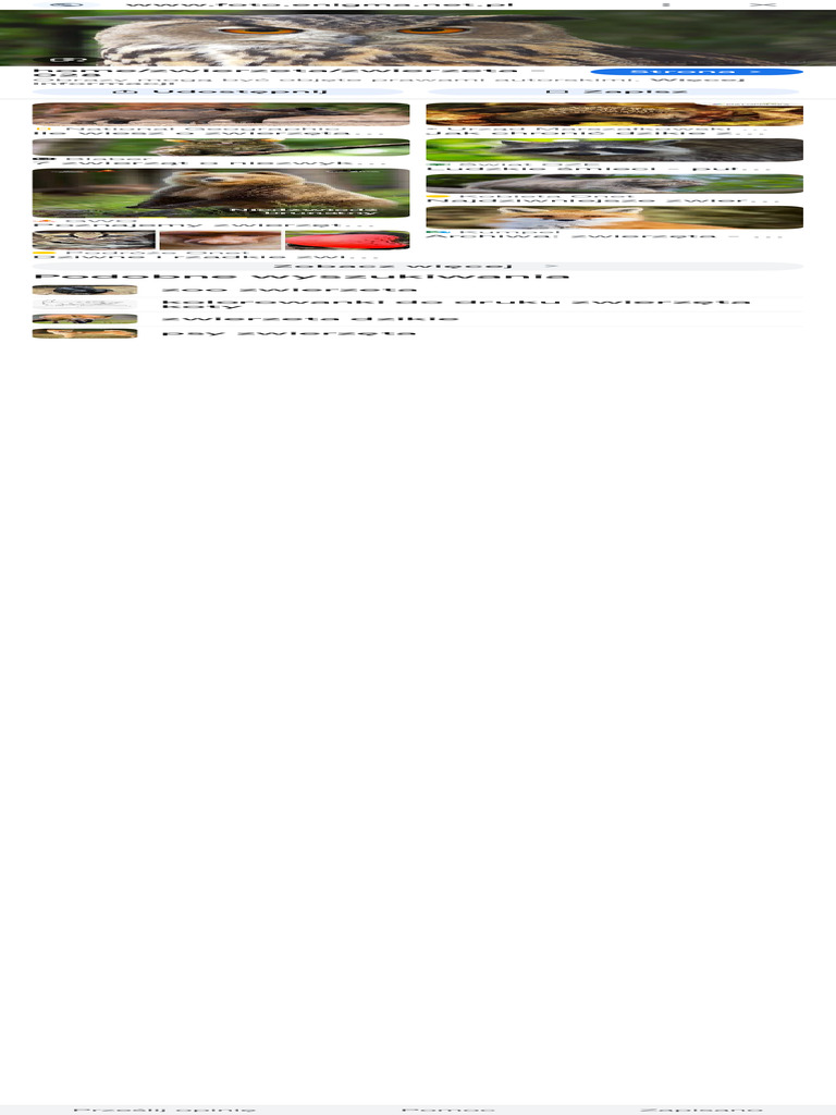 Zwierzeta - Szukaj W Google | PDF