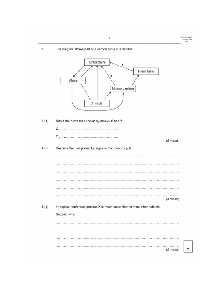 Bio Paper 2 Part 2 | PDF