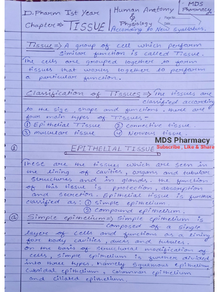 Chapter TISSUE, Human Anatomy and Physiology, D Pharm 1st Year | PDF