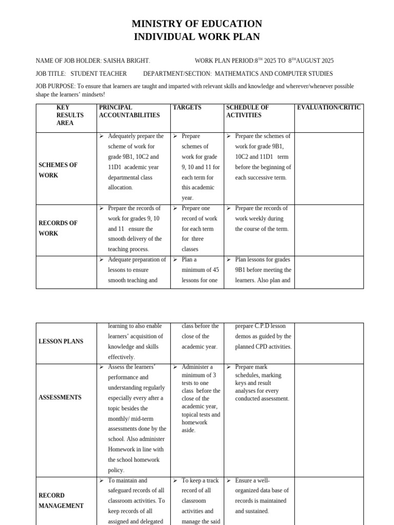 Individual Work Plan Wawa Precious | PDF | Homework | Intelligence