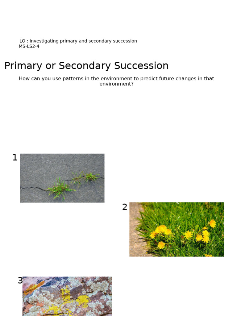 LAB - Primary or Secondary Succession | PDF | Science | Cognition