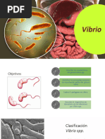 Monografia Vibrios | PDF | Cólera | Diarrea