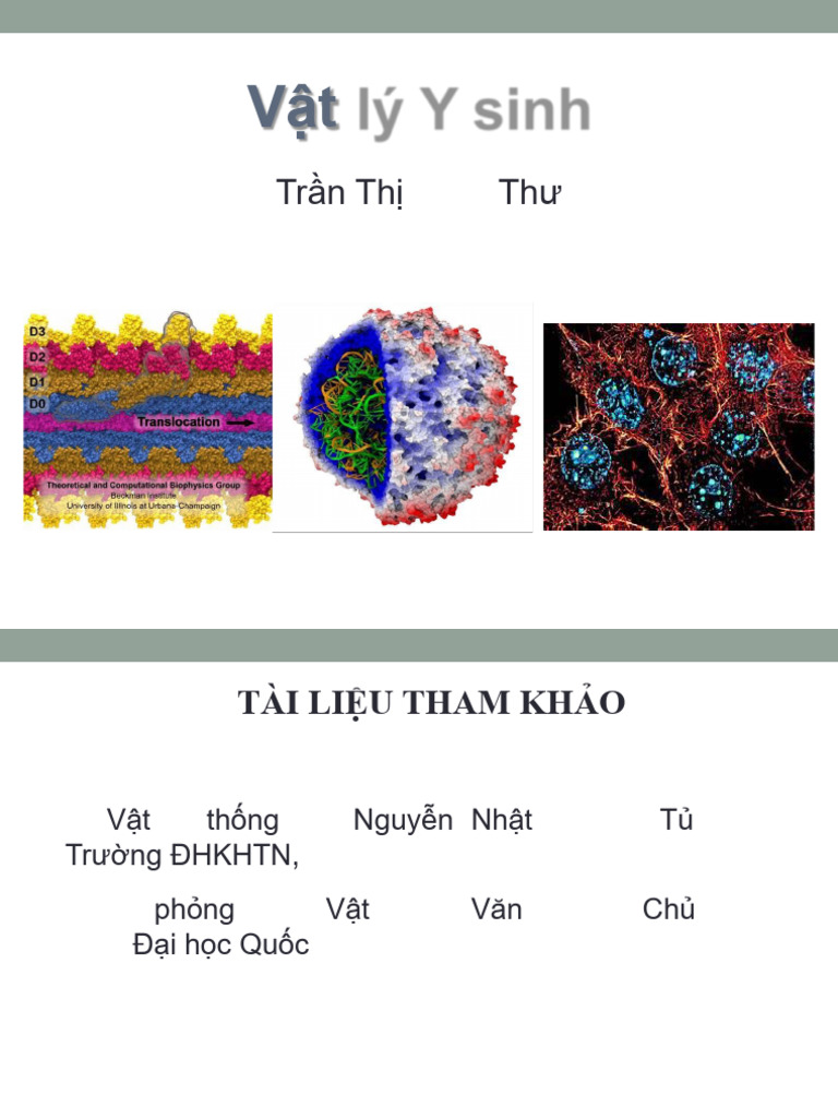 Vat-Ly-Y-Sinh - Phan-4 - Ky-Thuat-Mo-Phong-Md - (Cuuduongthancong - Com) | PDF