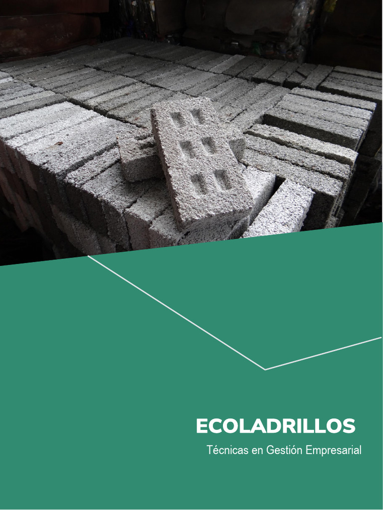 Proyecto de Inversión para Ecobloques Corregido | PDF | Residuos | Tasa interna de retorno