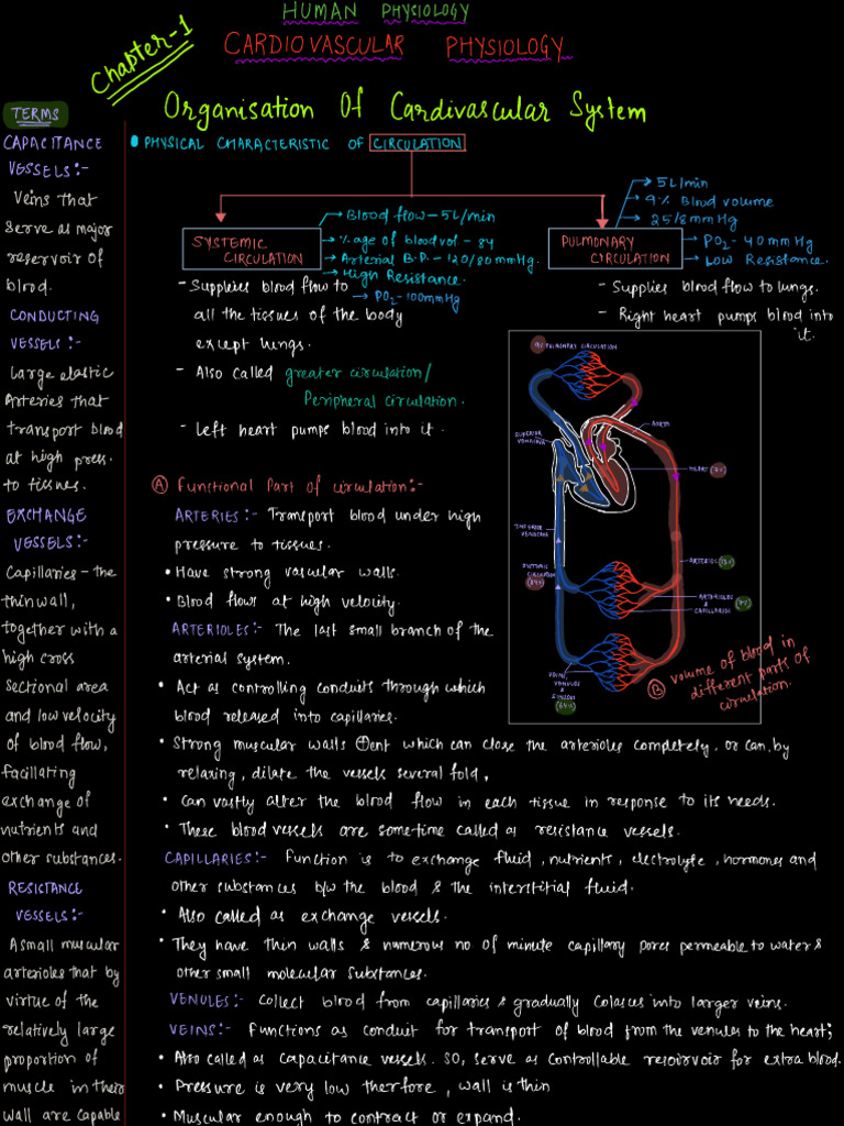Chapter 1 Organisation of Cardiovascular System. | PDF | Circulatory ...