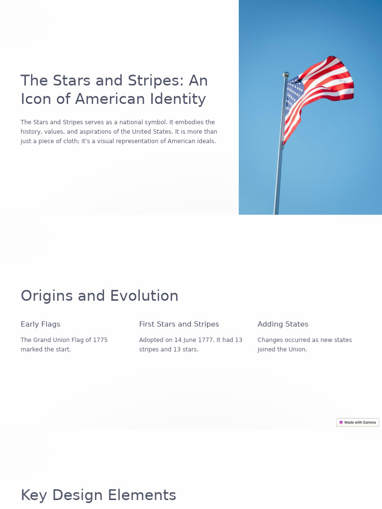The Stars and Stripes An Icon of American Identity | PDF