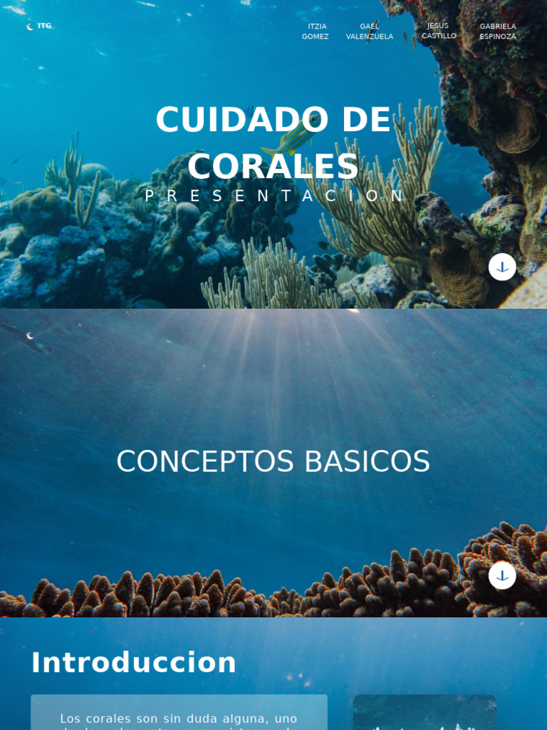 Corales | PDF | Arrecife de coral | Coral