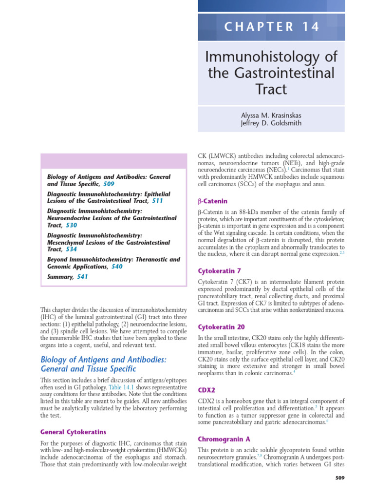 Inmunohistology of The Gastrointestinal Tract | PDF ...