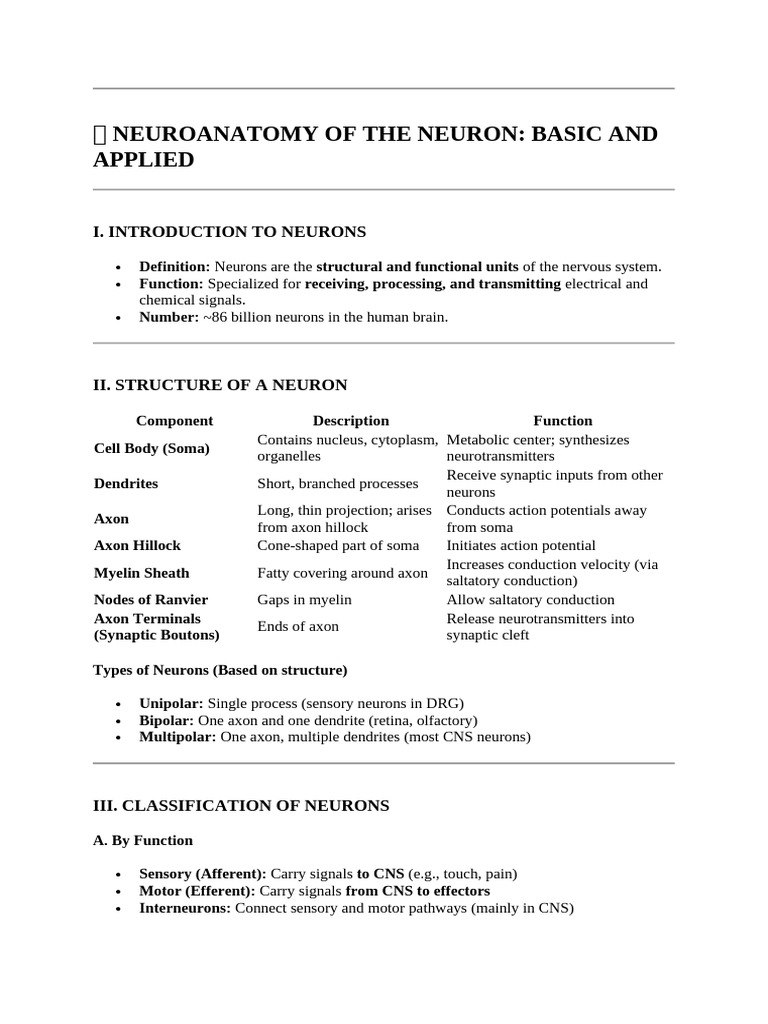 ? Neuroanatomy of The Neuron | PDF | Neuron | Axon