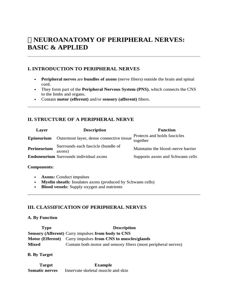 ? Neuroanatomy of Peripheral Nerves | PDF | Nerve | Axon
