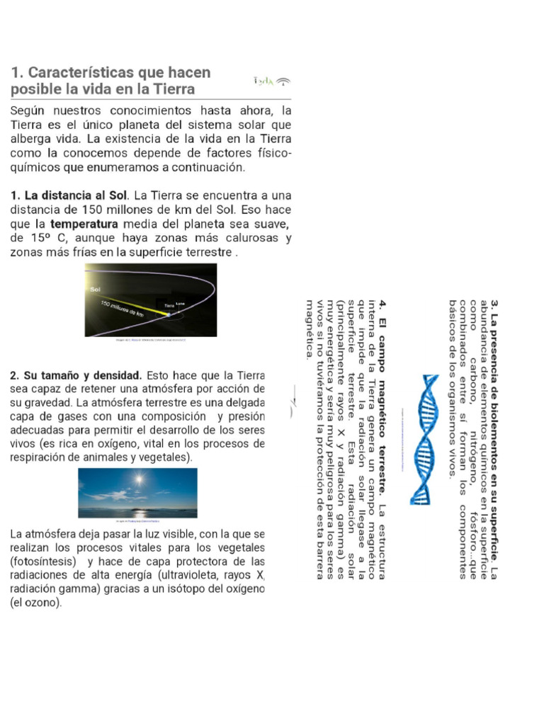 Documento (20) | PDF