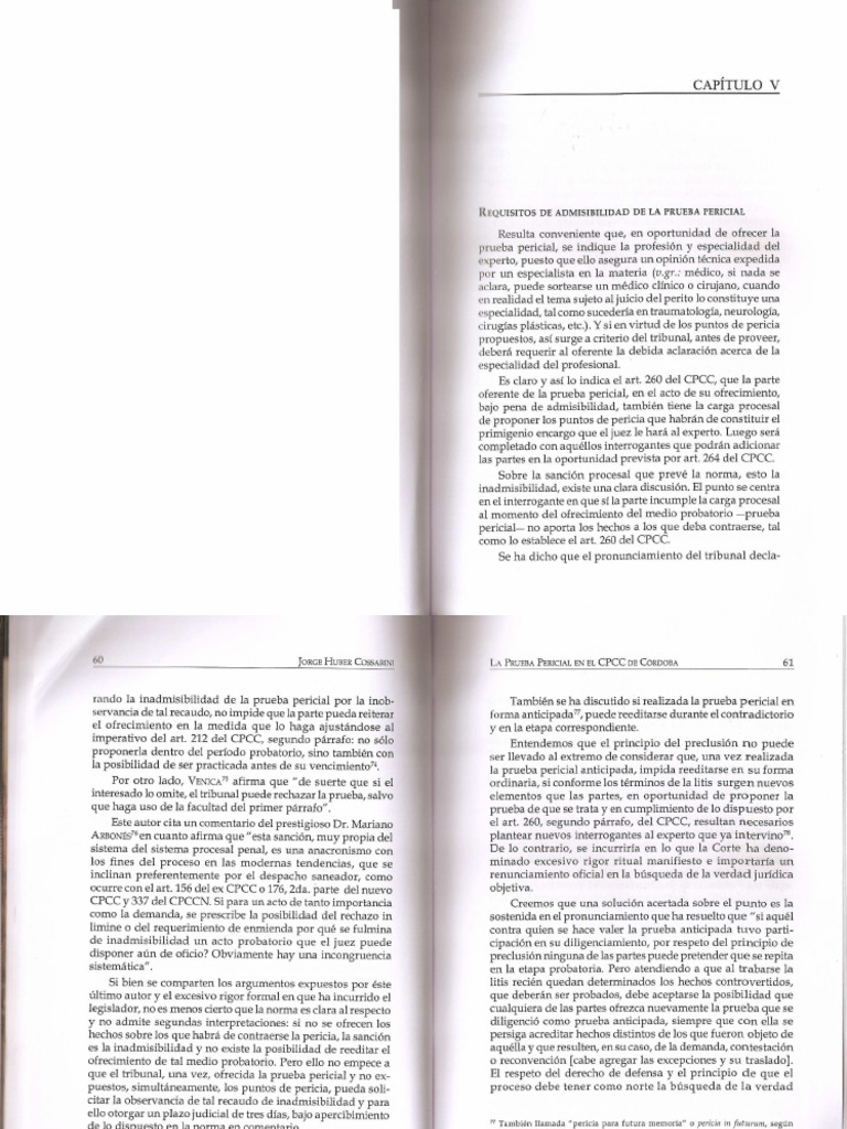 COSSARINI - Prueba Pericial Cap V Al XII | PDF