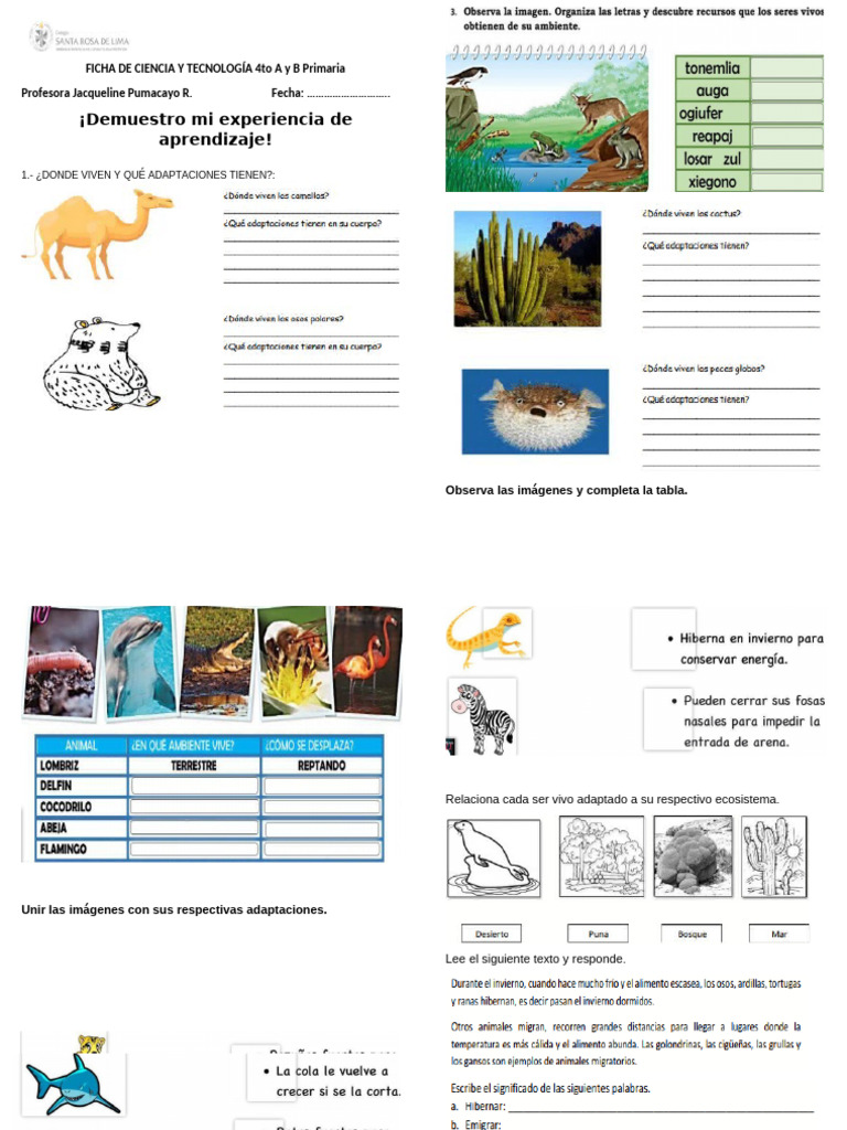 Adaptaciones de Los Animales y Plantas 4 | PDF