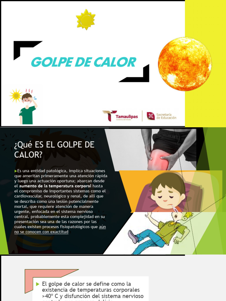 Golpe de Calor: Síntomas y Tratamiento | PDF | Termorregulación | Calor