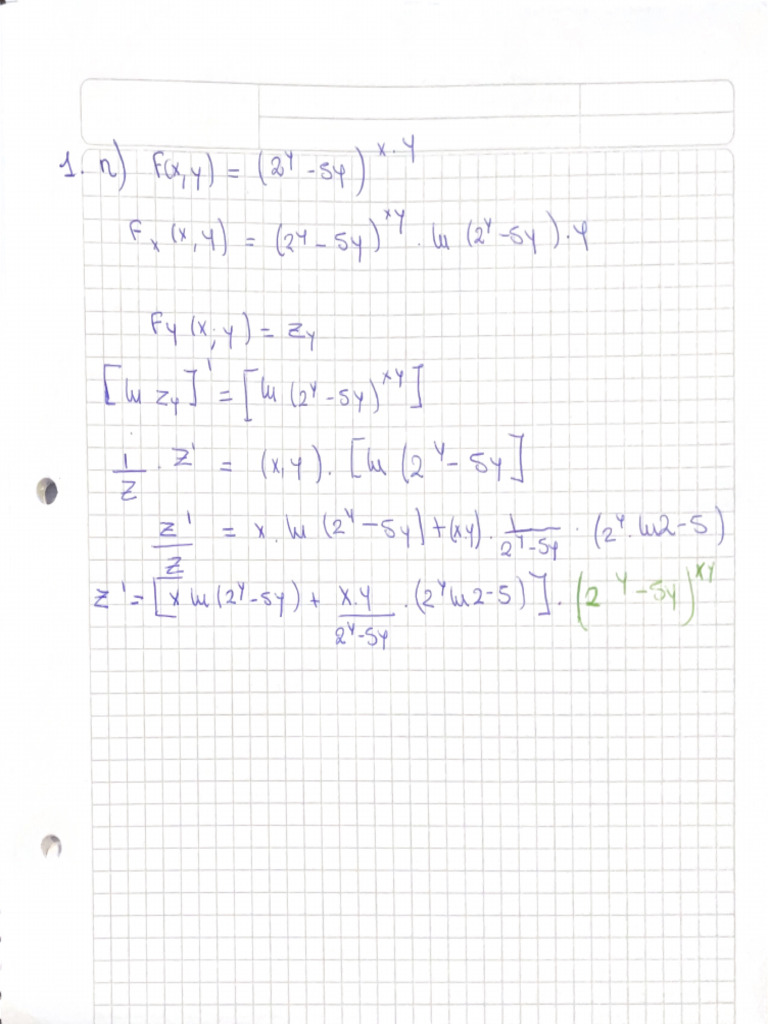 TP Derivadas Parciales | PDF
