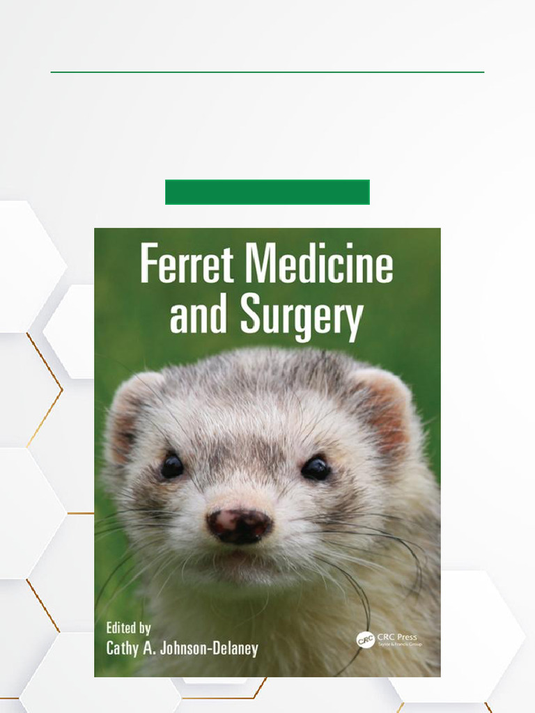 Ferret Medicine and Surgery Guide | PDF