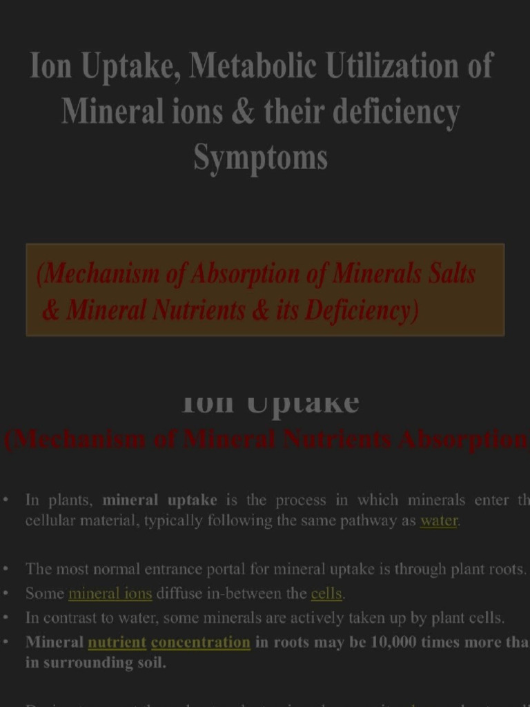 Mechanism of Minerals Absorption | PDF
